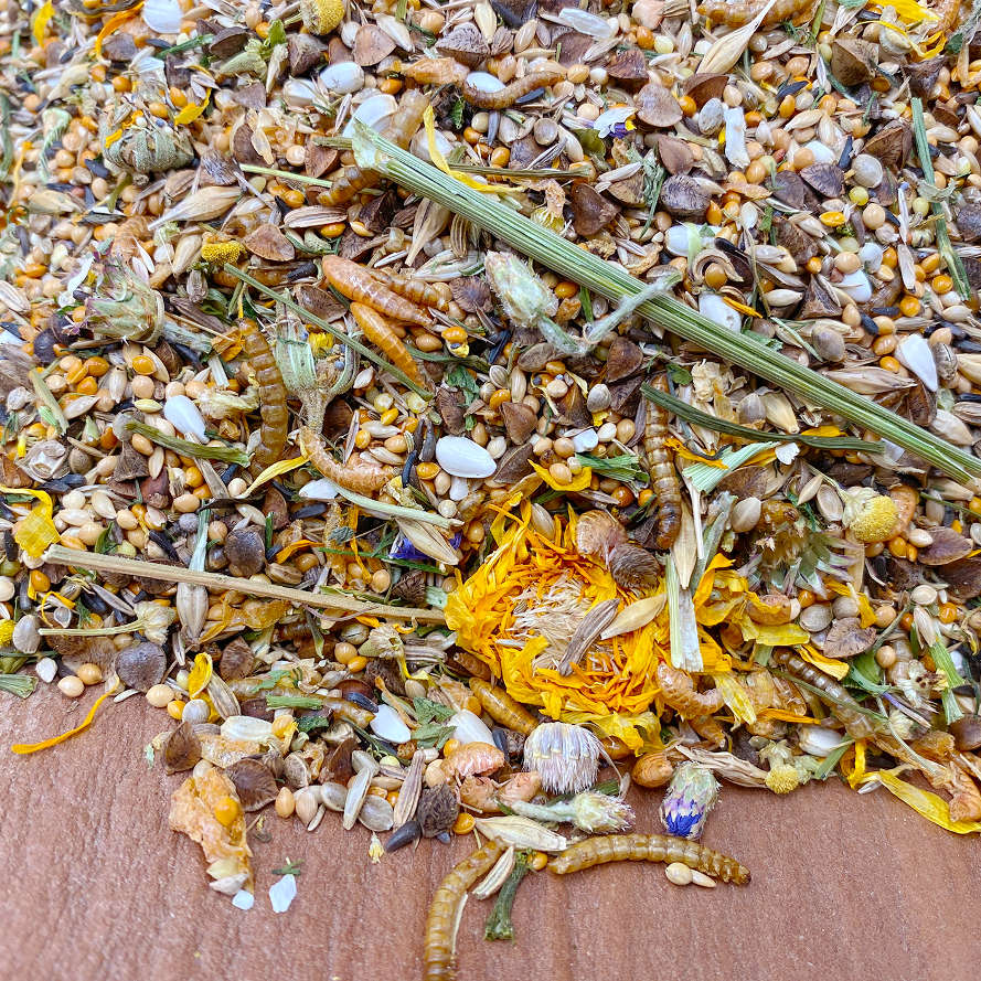 Mixerama Dwarf Hamster Seed Mix – Hope's Healthy Treats