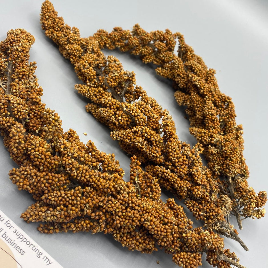 Shop for your Hamsters – Hope's Healthy Treats